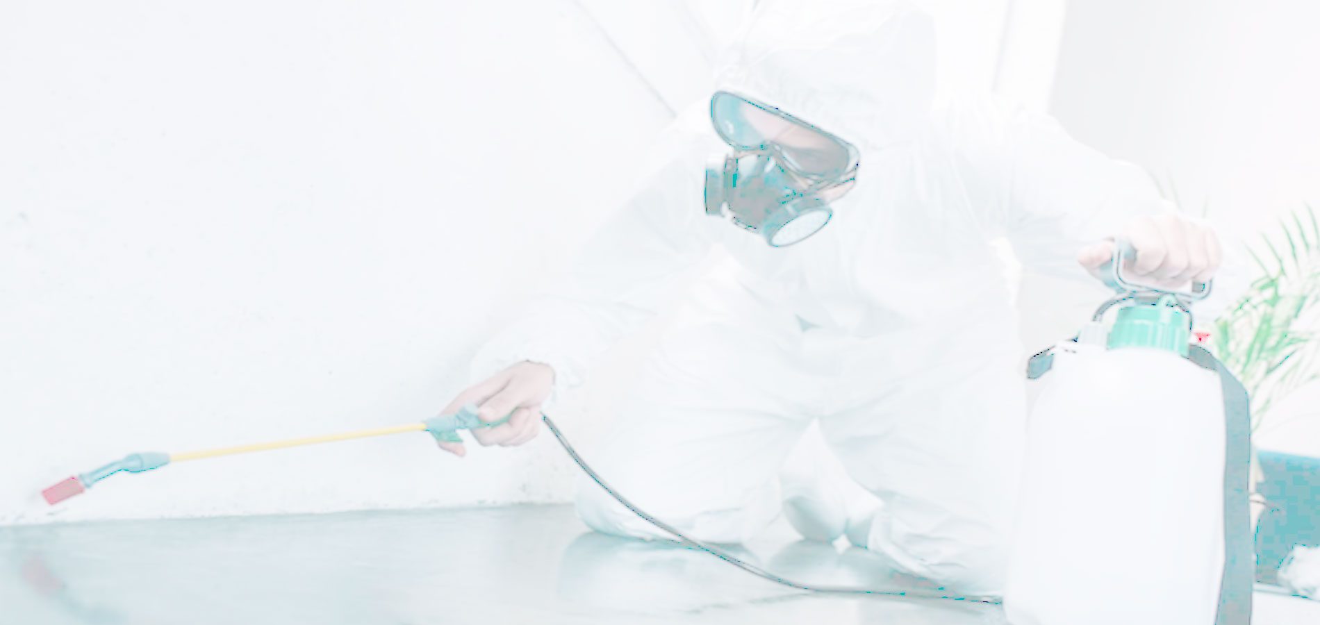 Pest control company in Tarragona Atlas